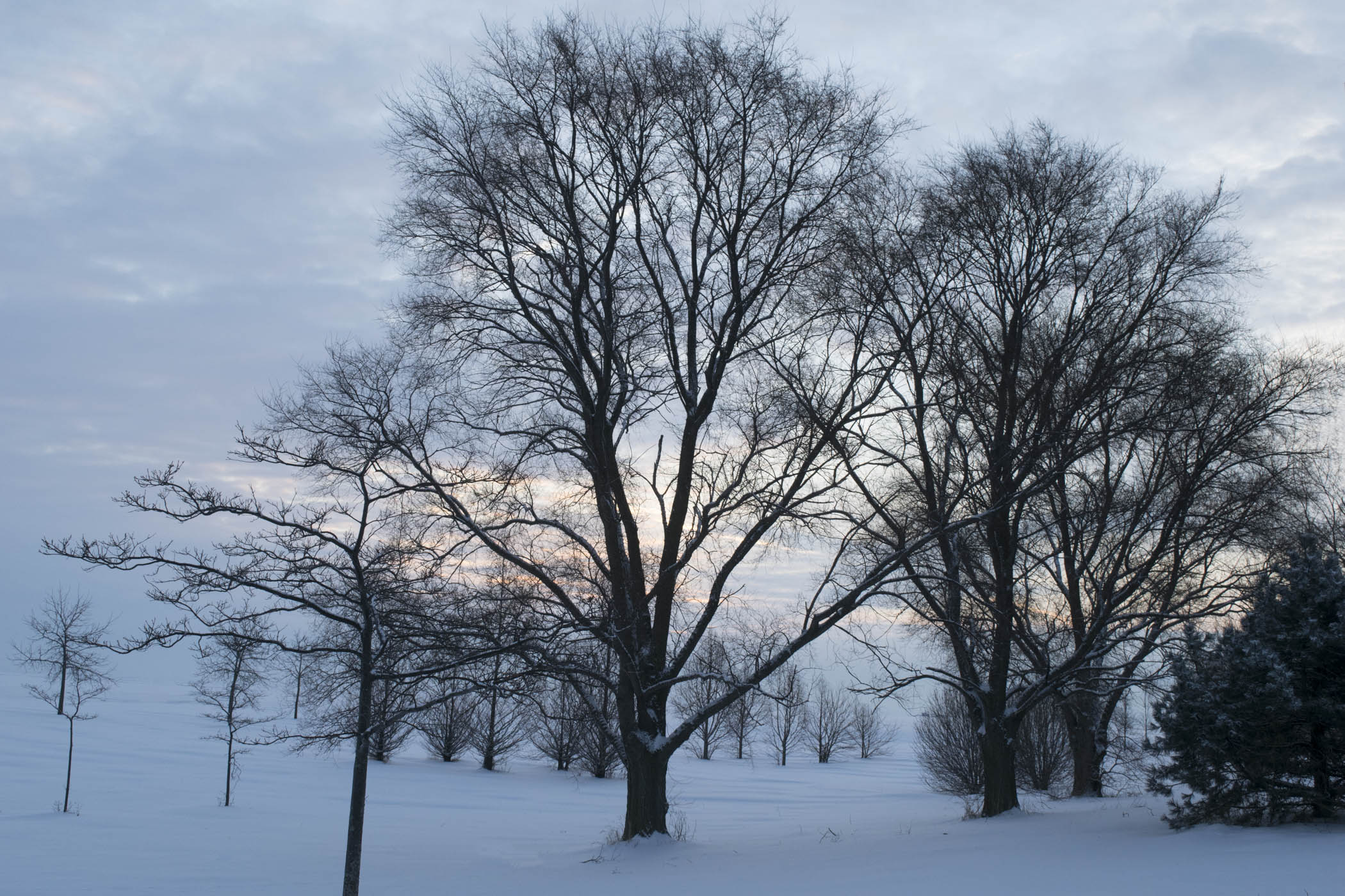 Chicago Vortex Gallery – Aazim Photography