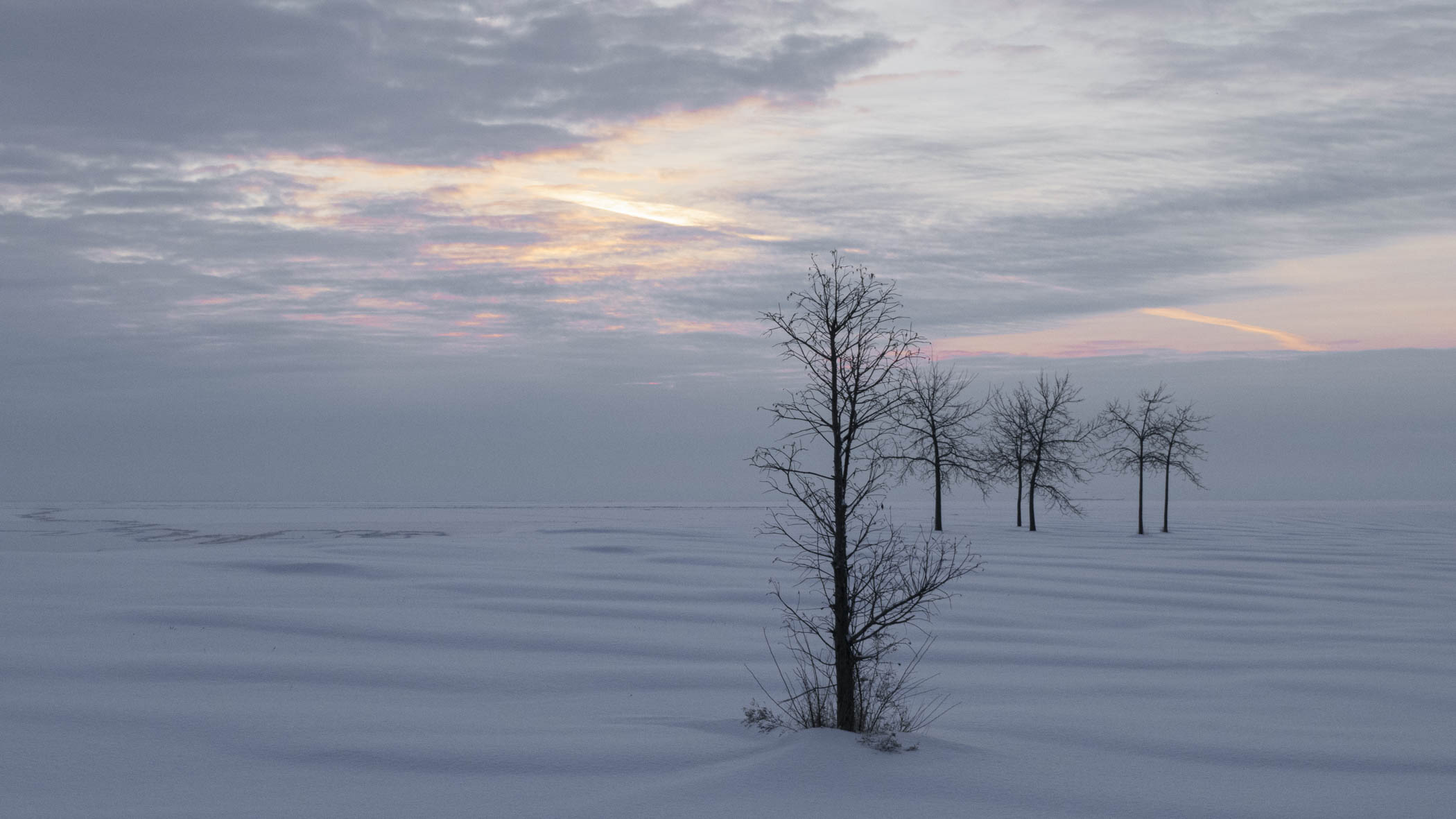 Chicago Vortex Gallery – Aazim Photography