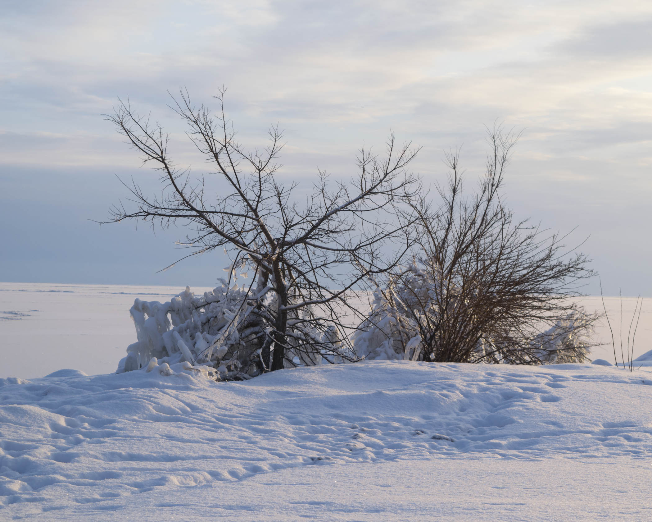 Chicago Vortex Gallery – Aazim Photography