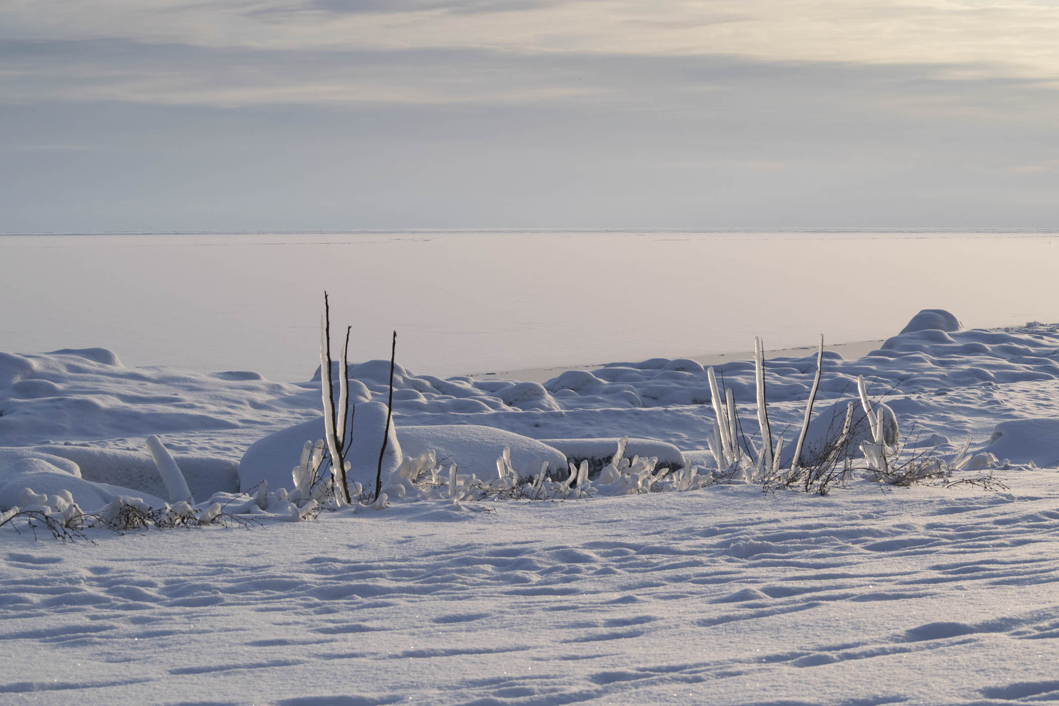 Chicago Vortex Gallery – Aazim Photography